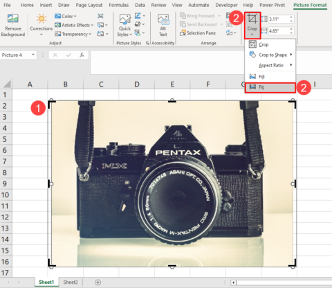 6 Ways to Crop Images in Microsoft Excel - INFOXIAO