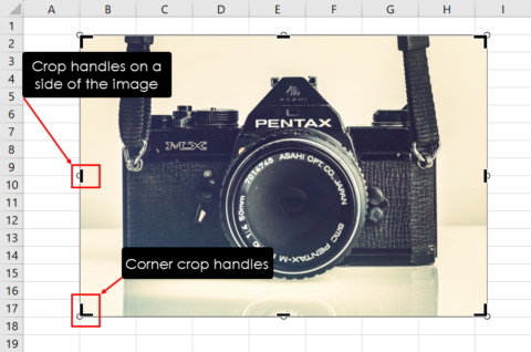 6 Ways to Crop Images in Microsoft Excel - INFOXIAO