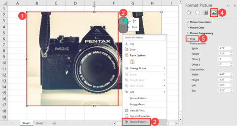 6 Ways to Crop Images in Microsoft Excel - INFOXIAO